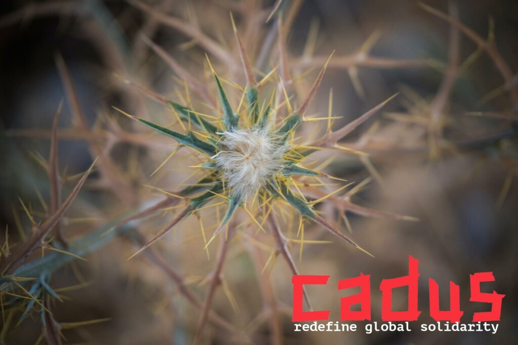 PHNX heißt jetzt CADUS - cadus.org